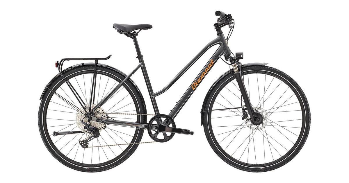 Diamant Elan Super Deluxe Dravitgrau Metallic Trapez 2023 - RABE Bike