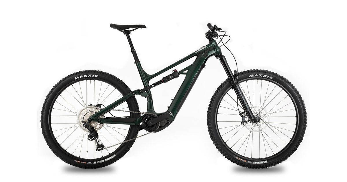 Cannondale Moterra Neo S1 gunmetal green - RABE Bike