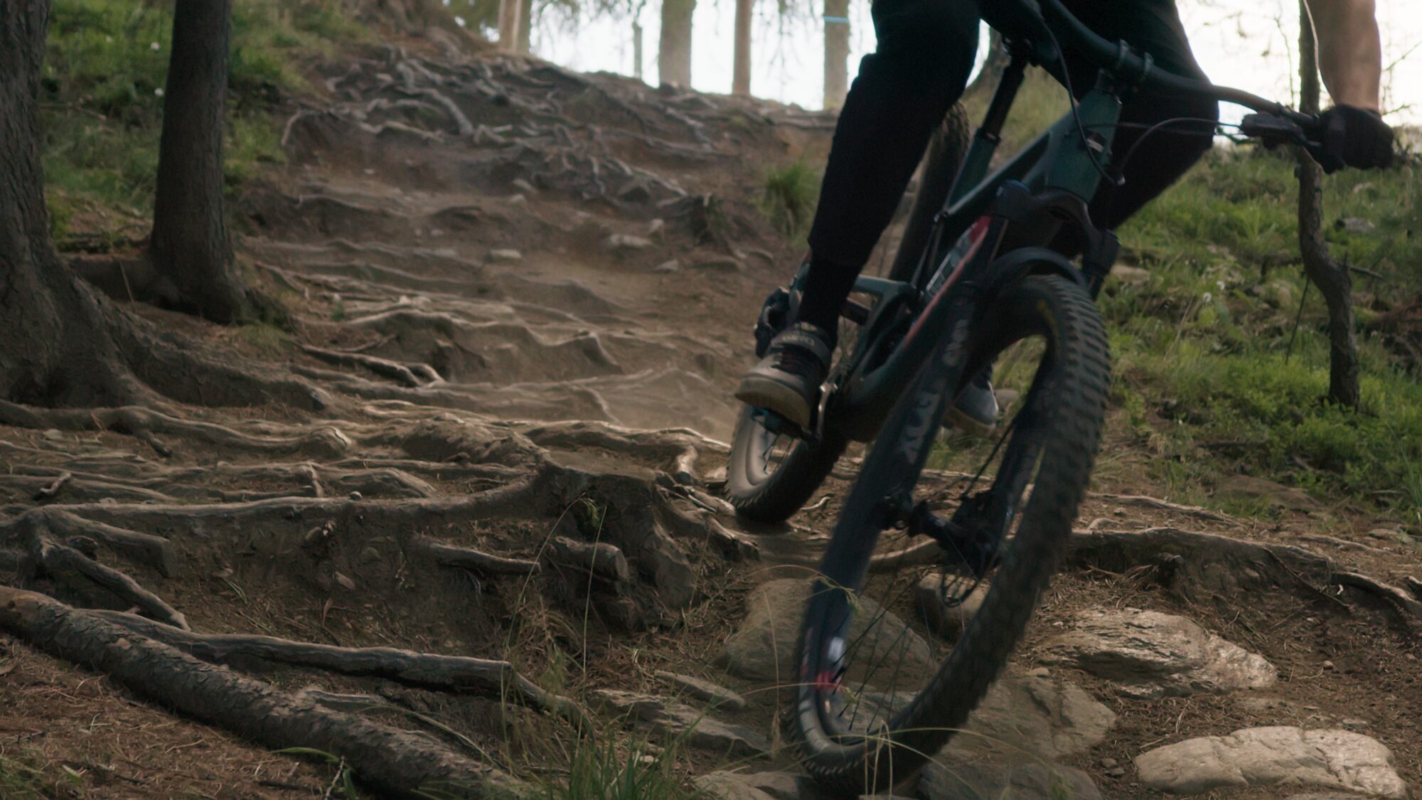 Fahrwerk Einstellen | RABE Bike Magazin